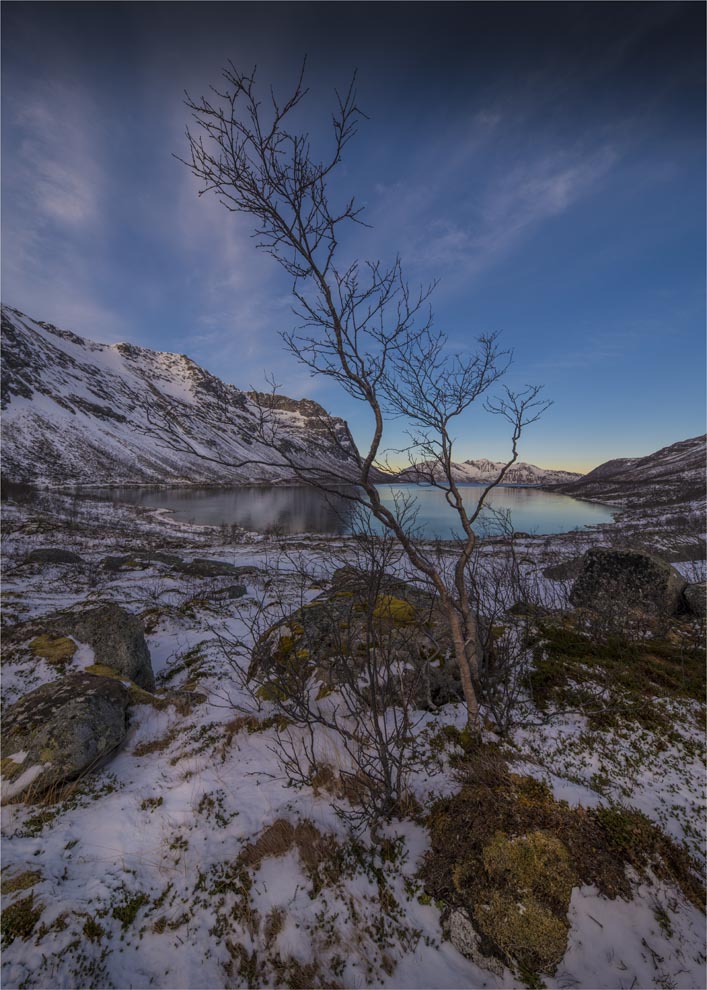 Tromvik-Winter-Light-2018NOR-119